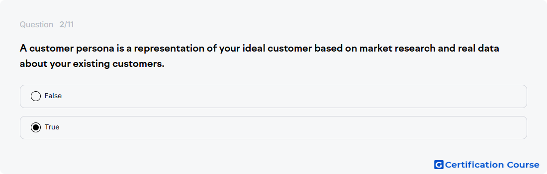 A customer persona is a representation of your ideal custome