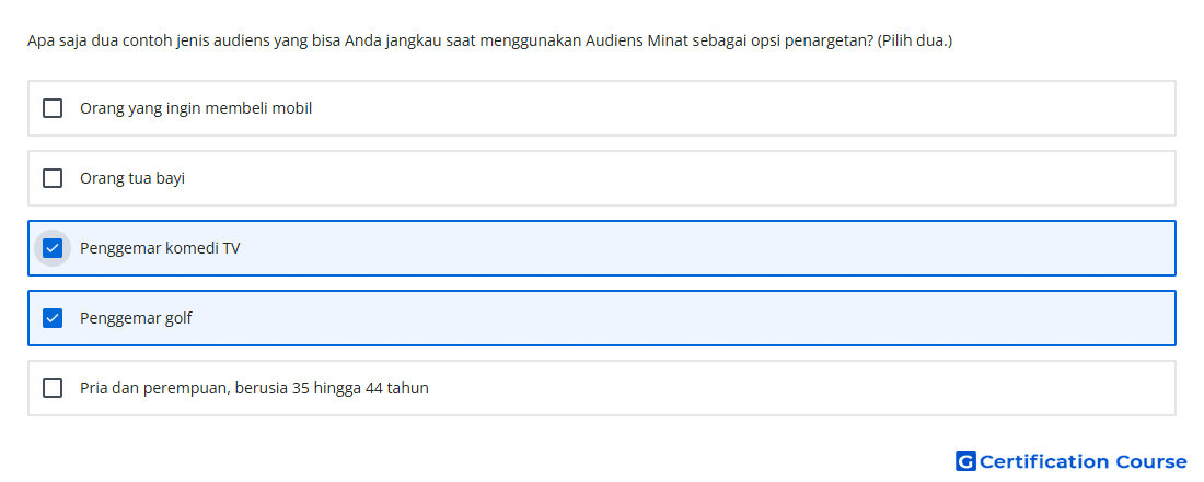 Apa saja dua contoh jenis audiens yang bisa Anda jangkau saa