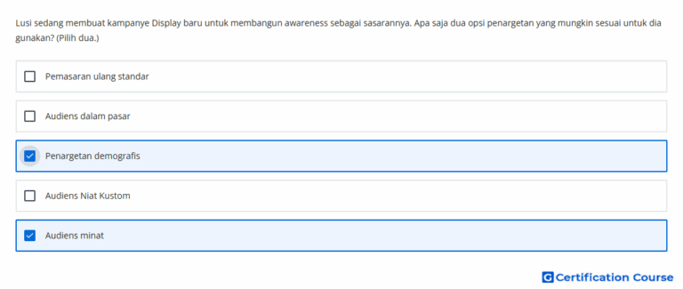 Lusi sedang membuat kampanye Display baru untuk membangun aw