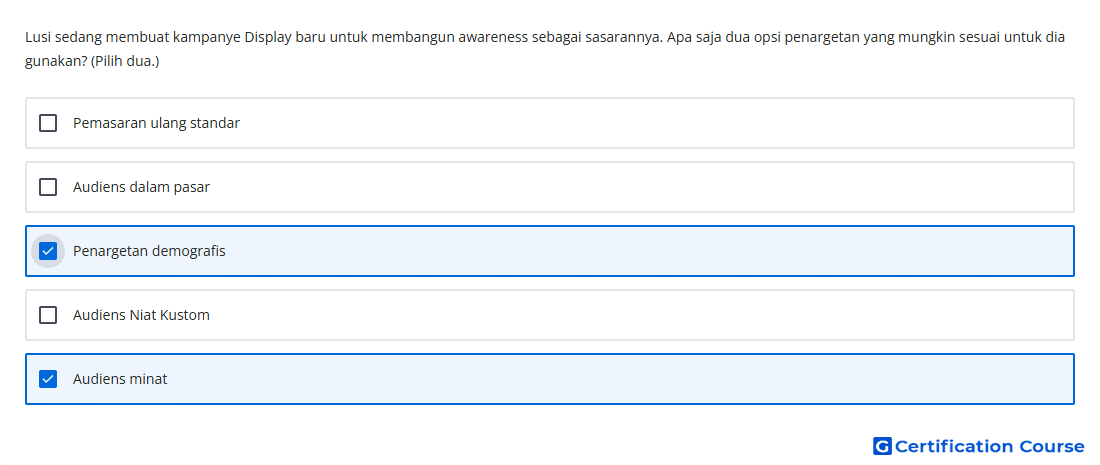 Lusi sedang membuat kampanye Display baru untuk membangun aw